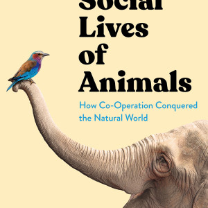 The Social Lives of Animals - Reviewed by Margaret Austin | Regional ...
